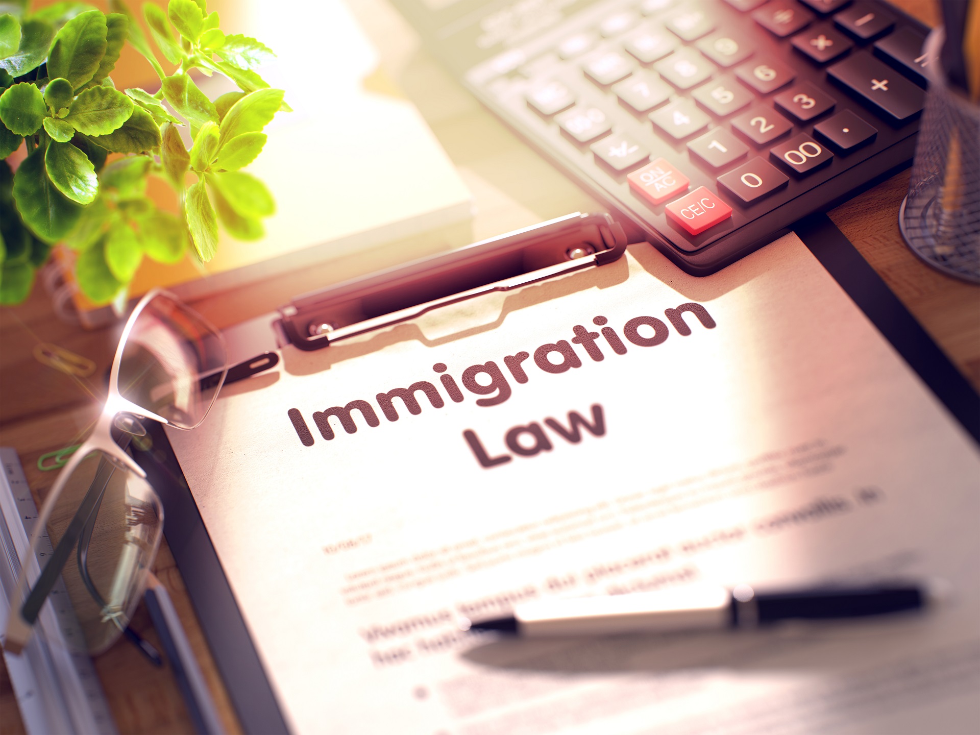 FL Immigration Laws Review | US Immigration Law Counsel