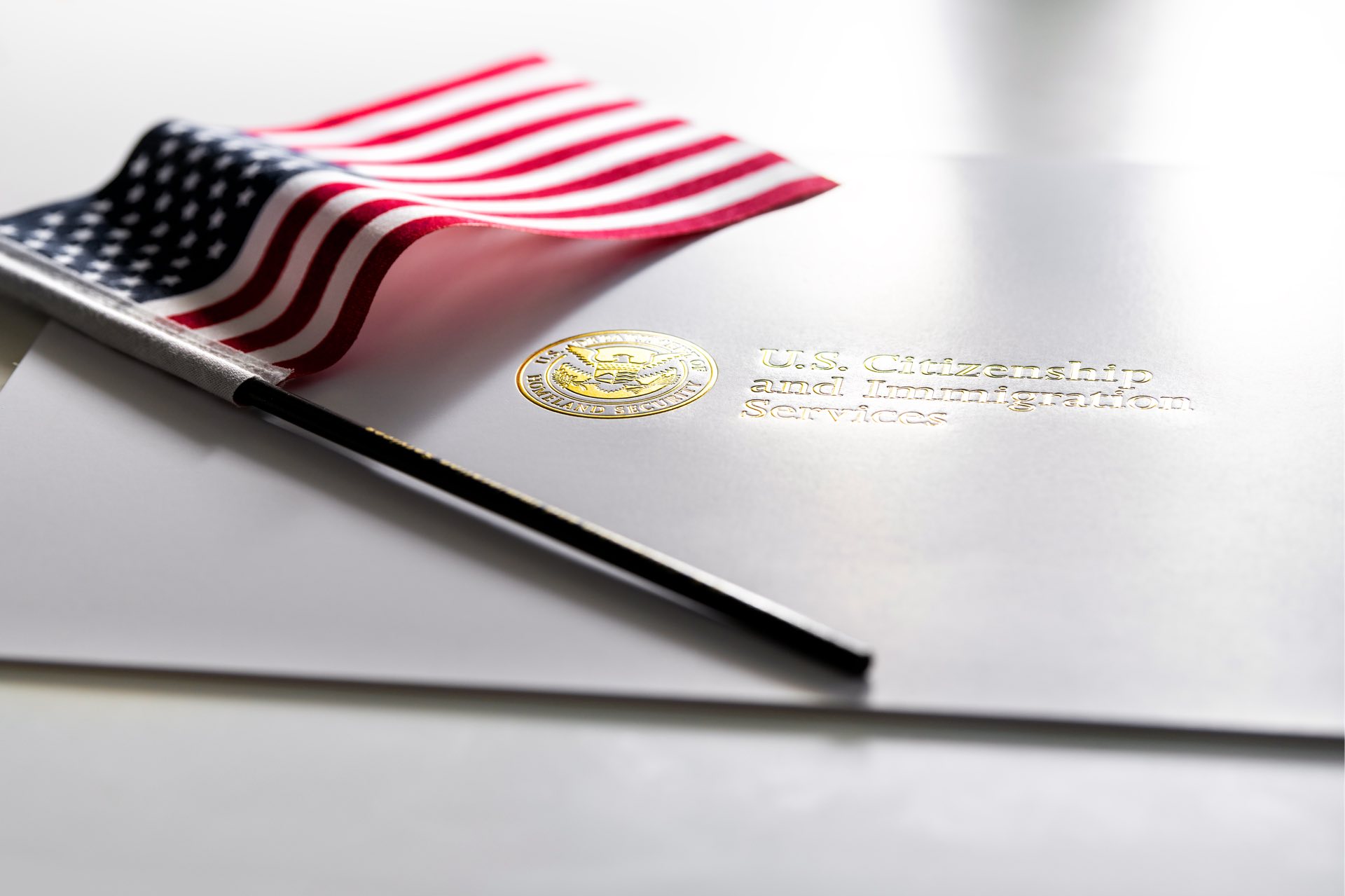 Understanding the Process of U.S. Citizenship | U.S. Immigration Law ...