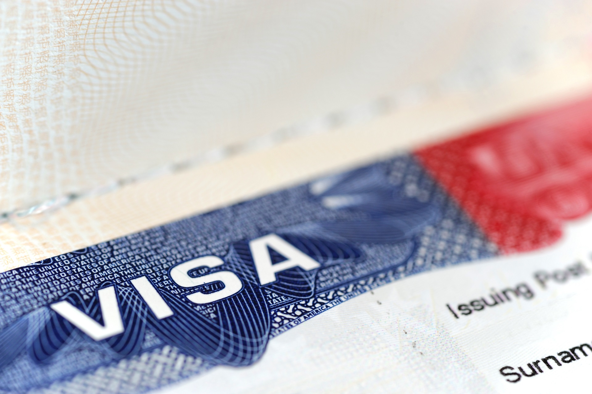 Breaking Down Visa Processing Times and Visa Delays | U.S. Immigration ...